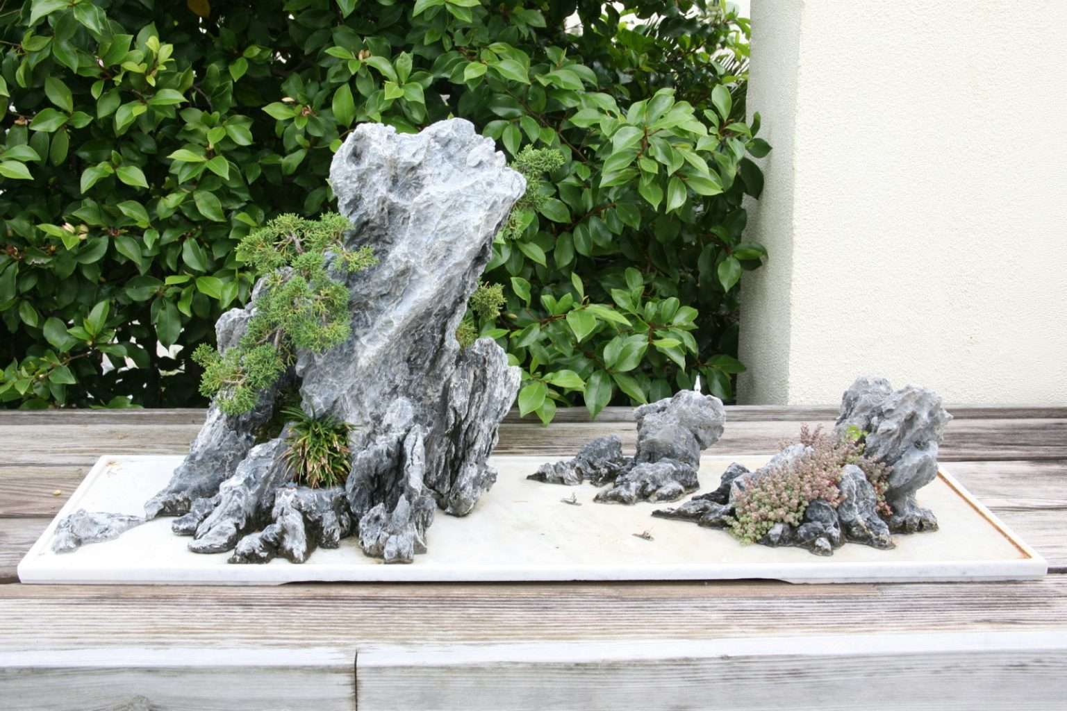 Penjing vs Bonsai: 7 Intriguing Differences