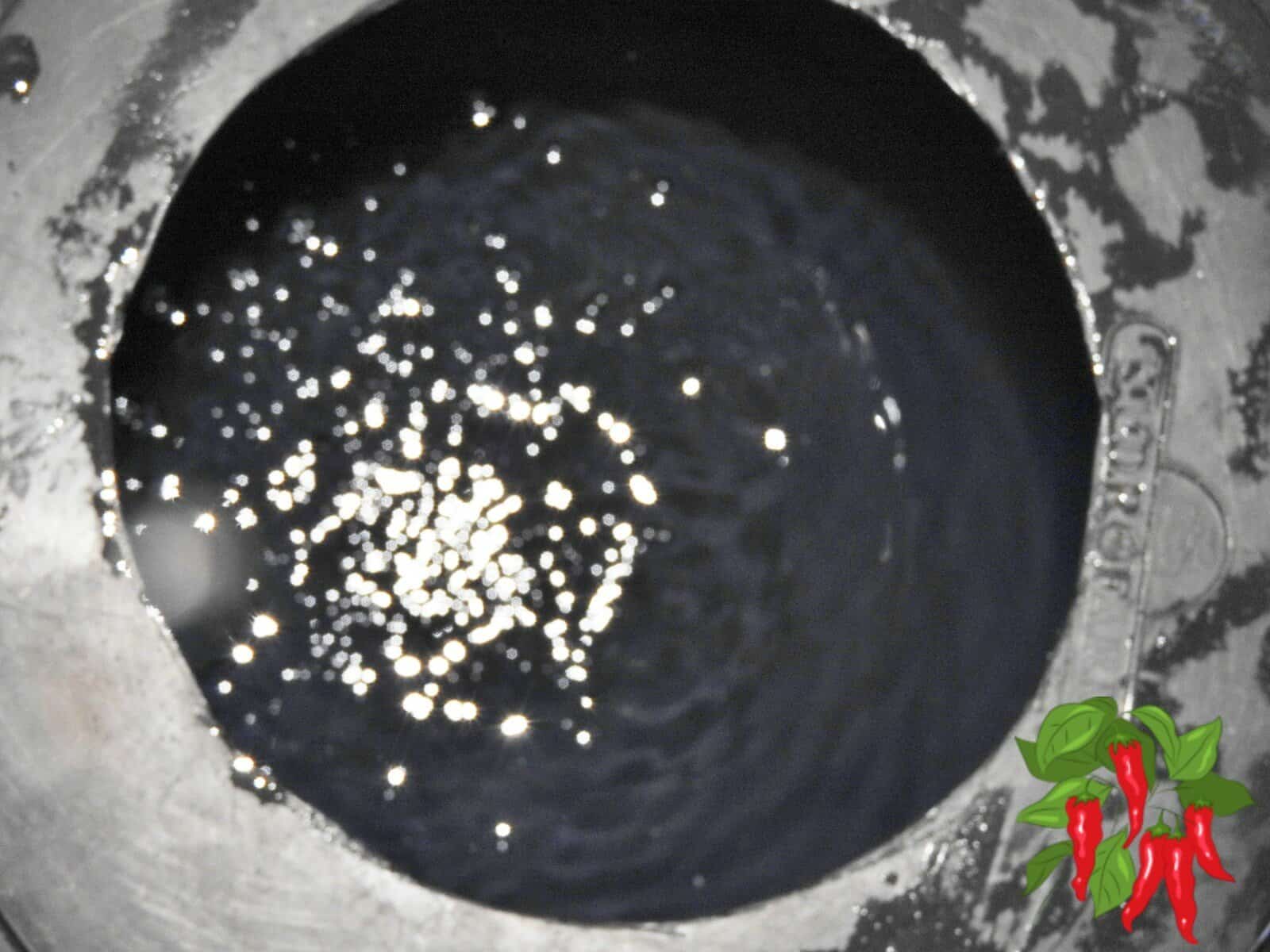 Bubble Bucket Hydroponics: Supercharge Your Growth