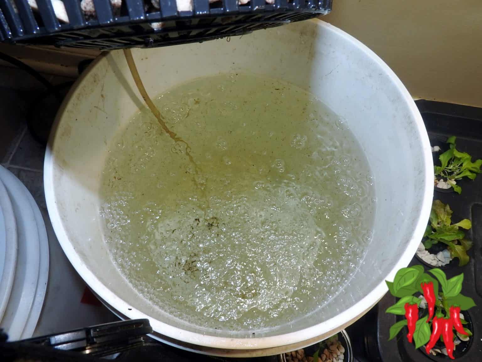 Bubble Bucket Hydroponics [ Supercharge Your Growth ]