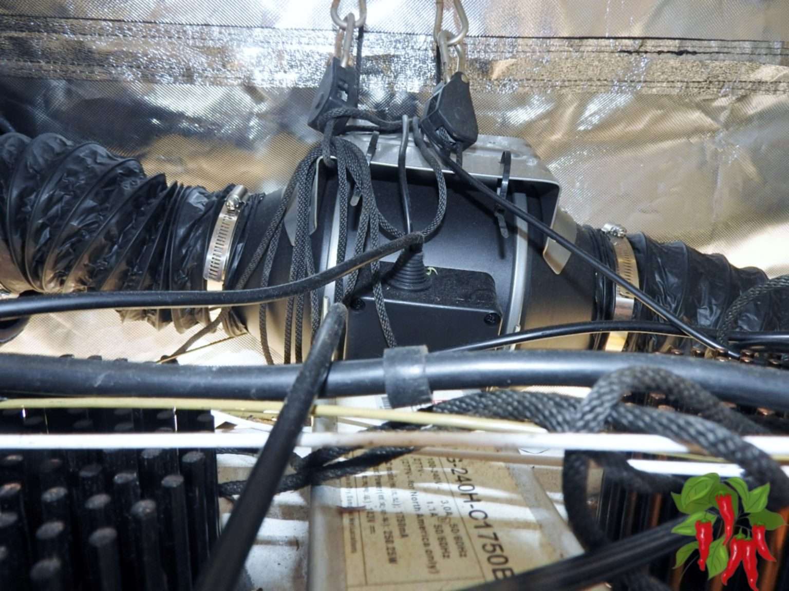 Are Grow Tents Worth It For Vegetables? 7 Expert Tips For Beginners