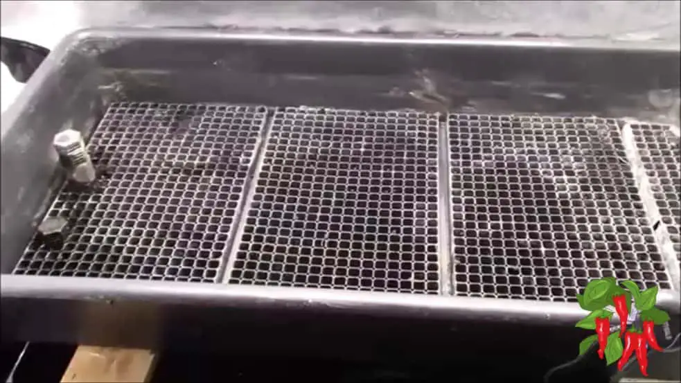 Using A Grow Tent For Vegetables: Ultimate Quick-start Guide