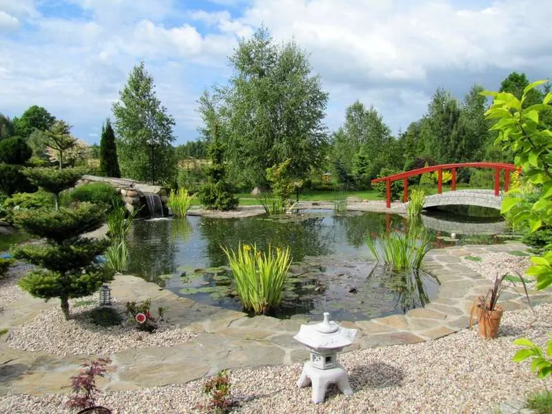 5 Amazing Benefits Of Water Garden Landscaping